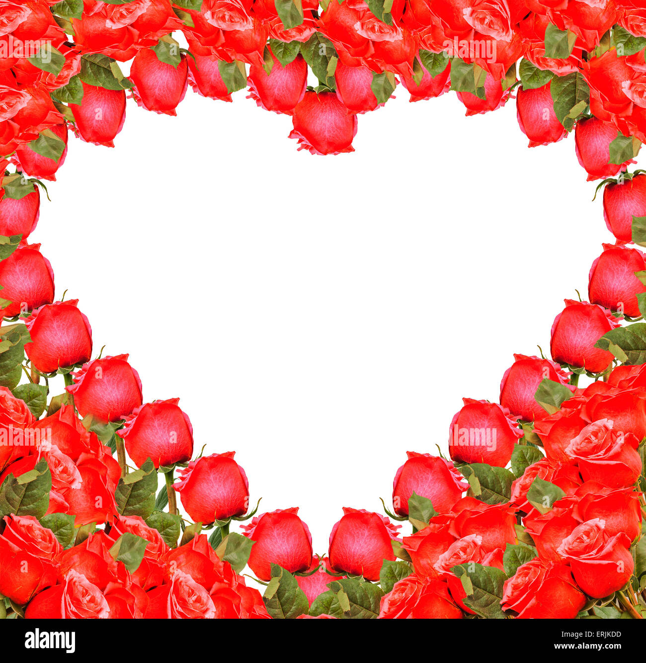 Heart - border from red roses on white background Stock Photo - Alamy