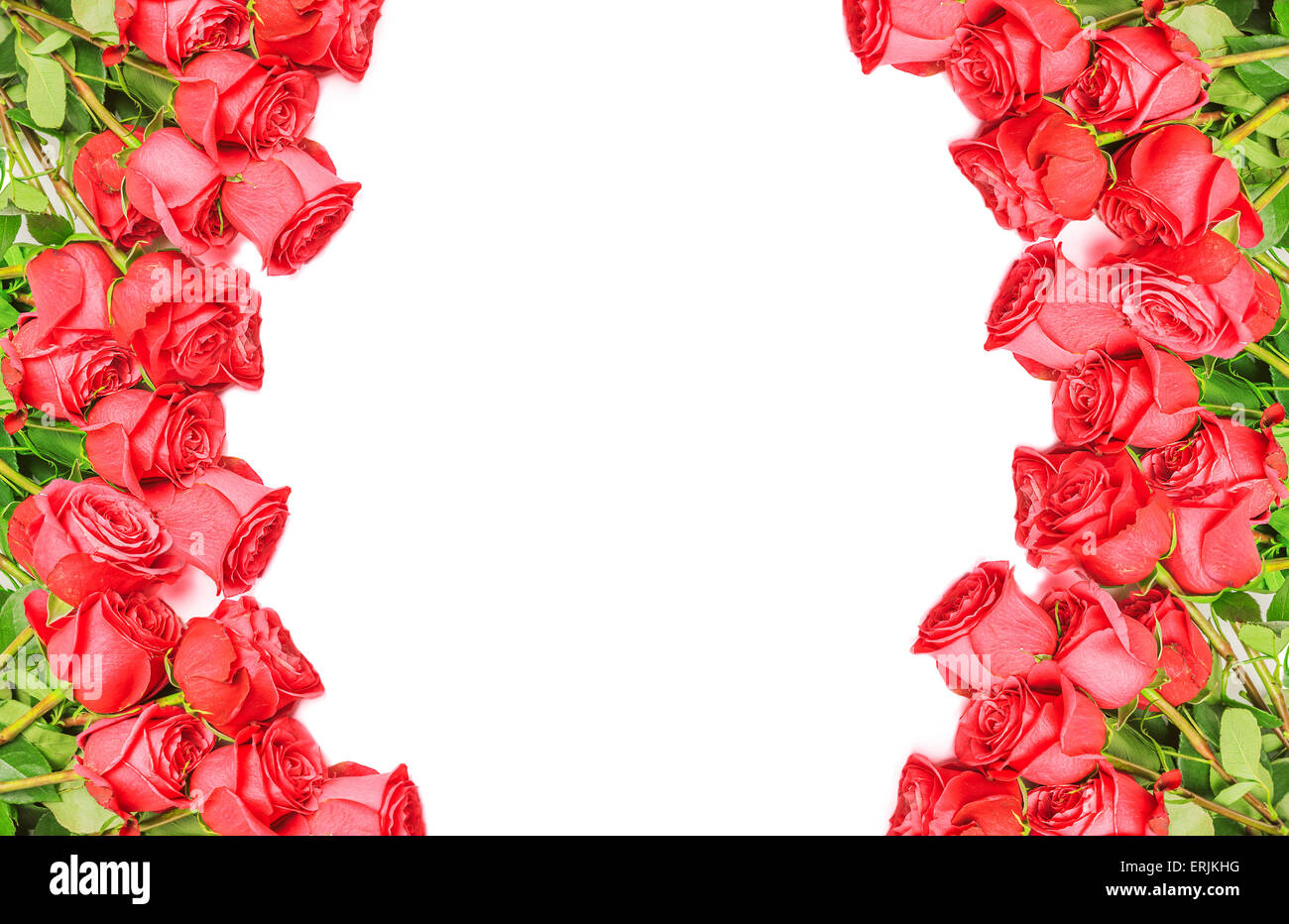 Border from beautiful red roses isolated on white background with place ...