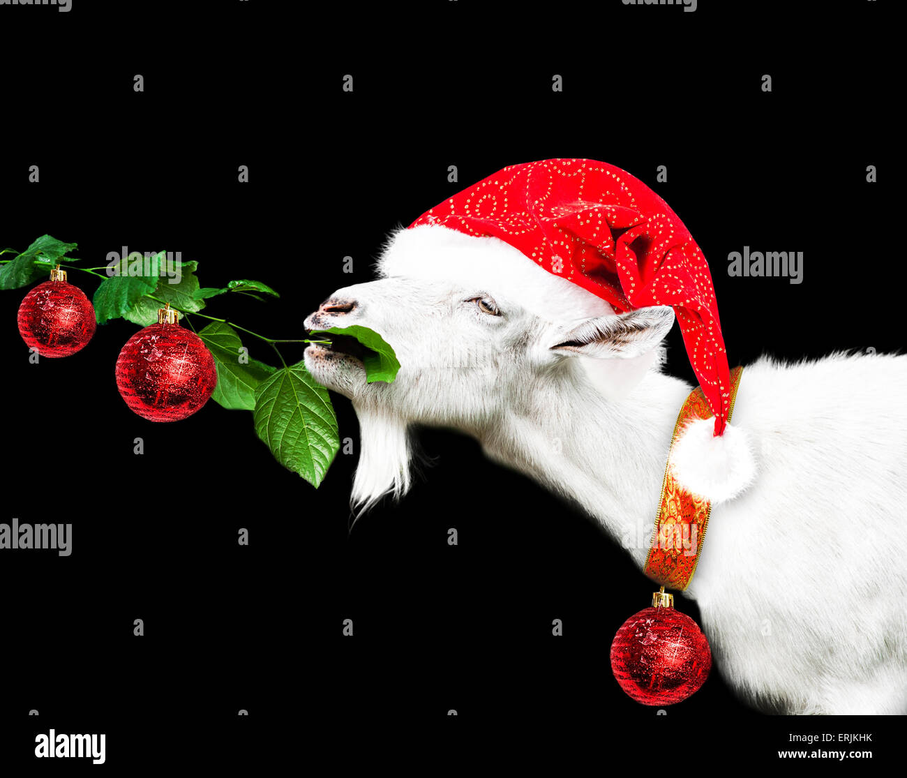 Goat wearing a hat hi-res stock photography and images - Alamy