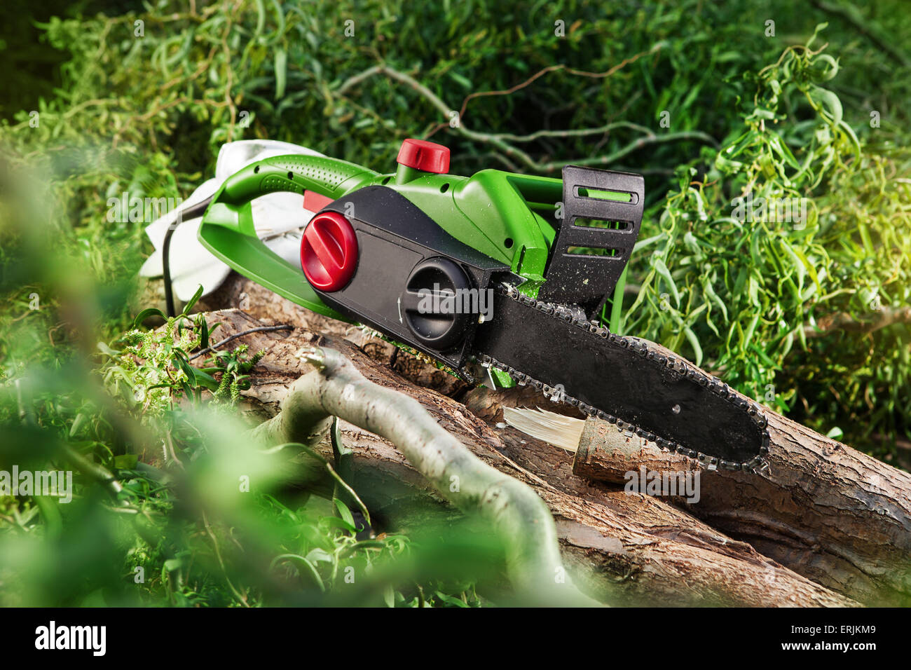 modern green electrical chainsaw in forest Stock Photo - Alamy