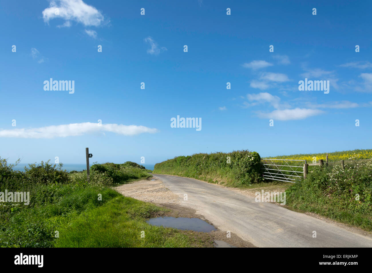 English Country Lane with green fields and a clear blue sky Stock Photo ...