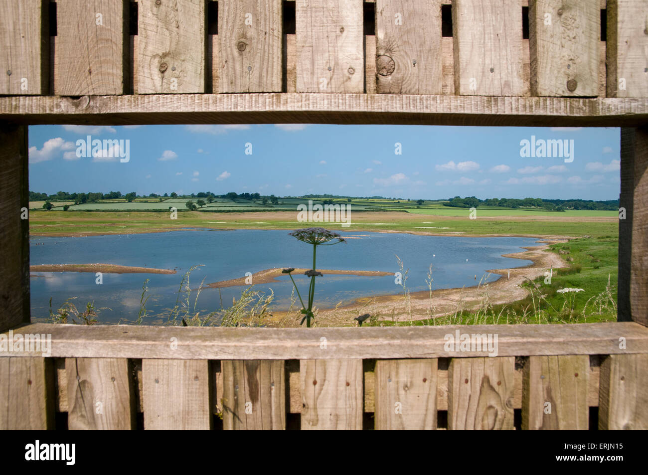 A view of wetlands at the Lower Ure Conservation Trust's Nosterfield ...