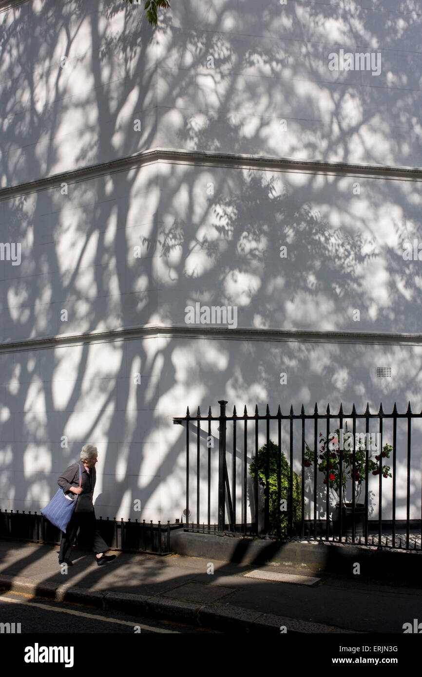 Shadows of a London plane tree on the white painted wall of a period ...