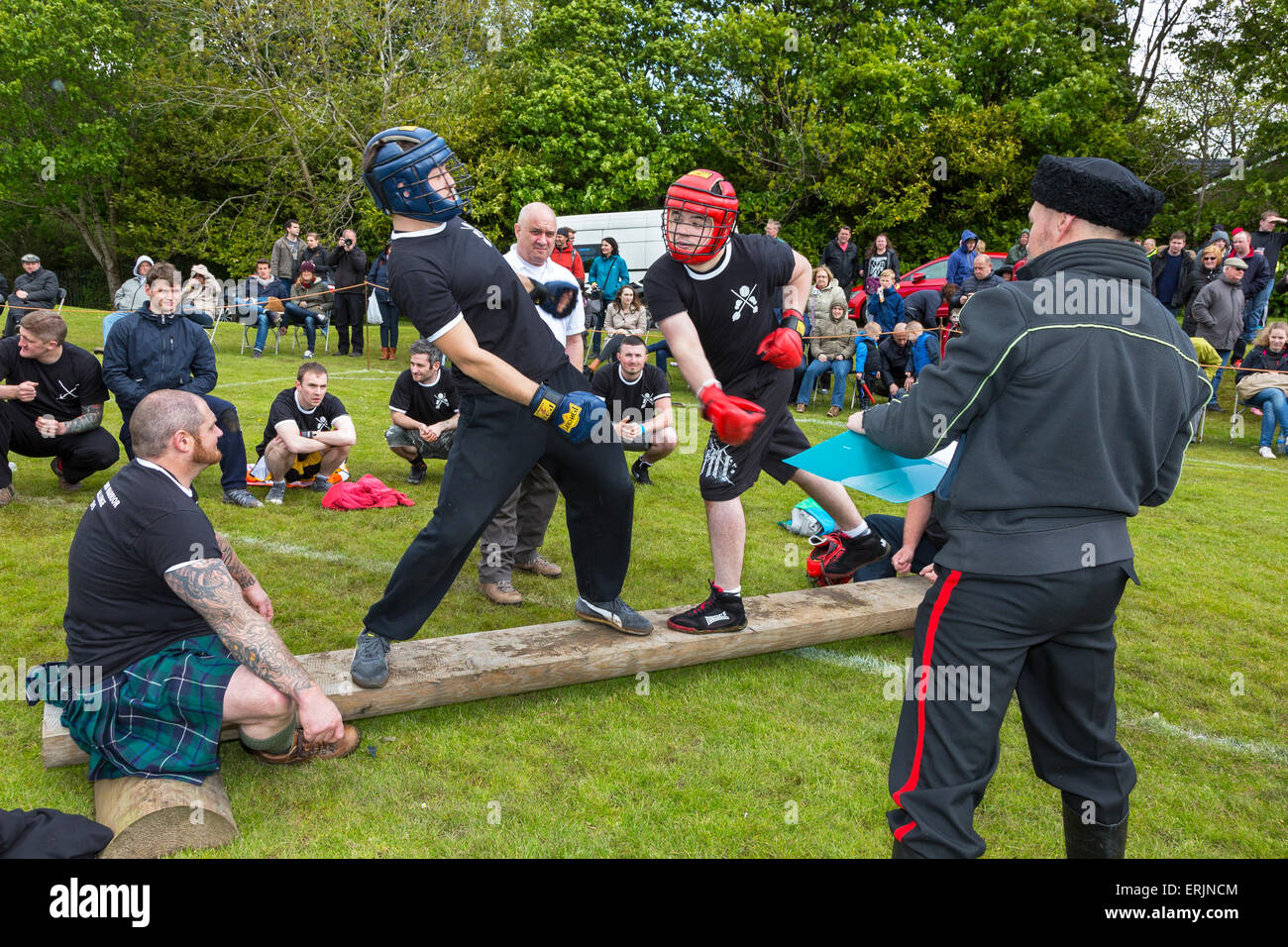 Log Boxing taking part at Highland Games, near Glasgow, Scotland. Game ...