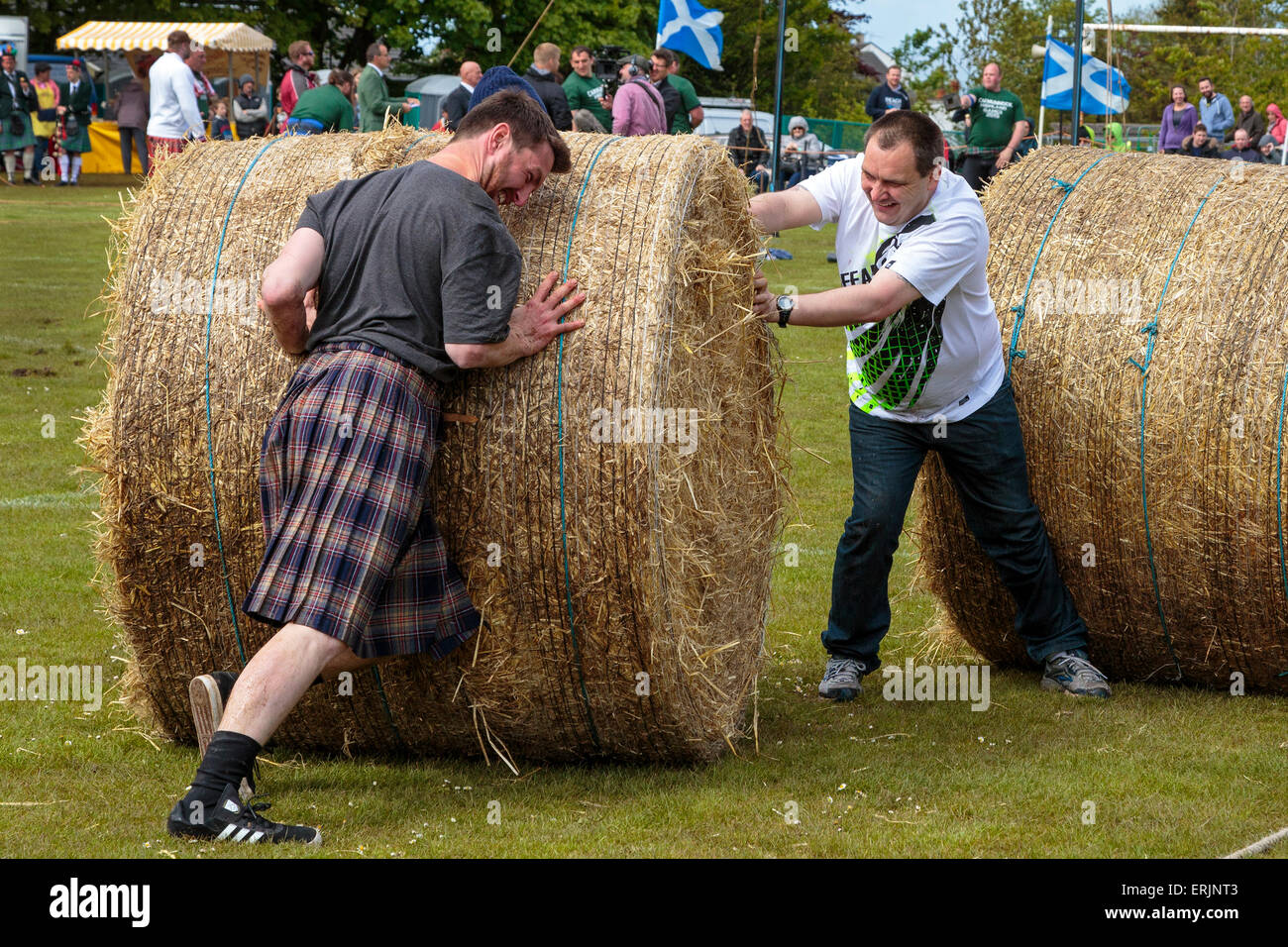 Competition to roll a bale of hay along a set course, in as short a ...