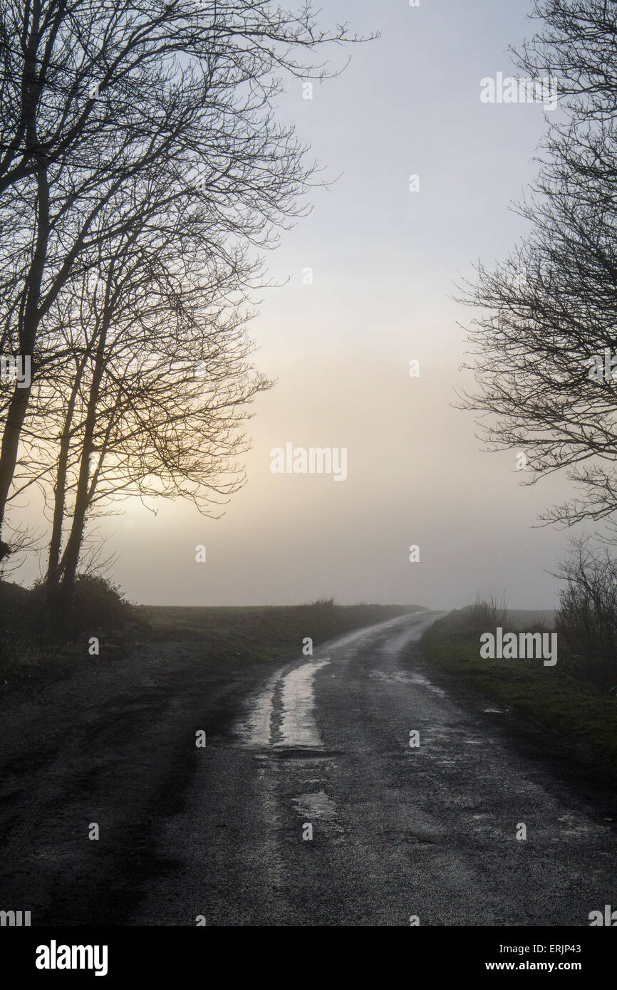 Wet track hi-res stock photography and images - Alamy