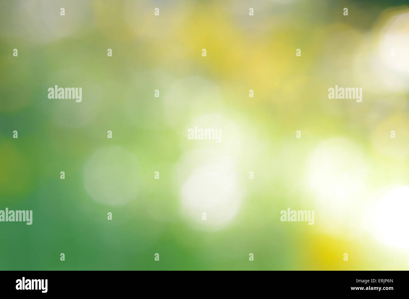 abstract green nature defocus background Stock Photo - Alamy
