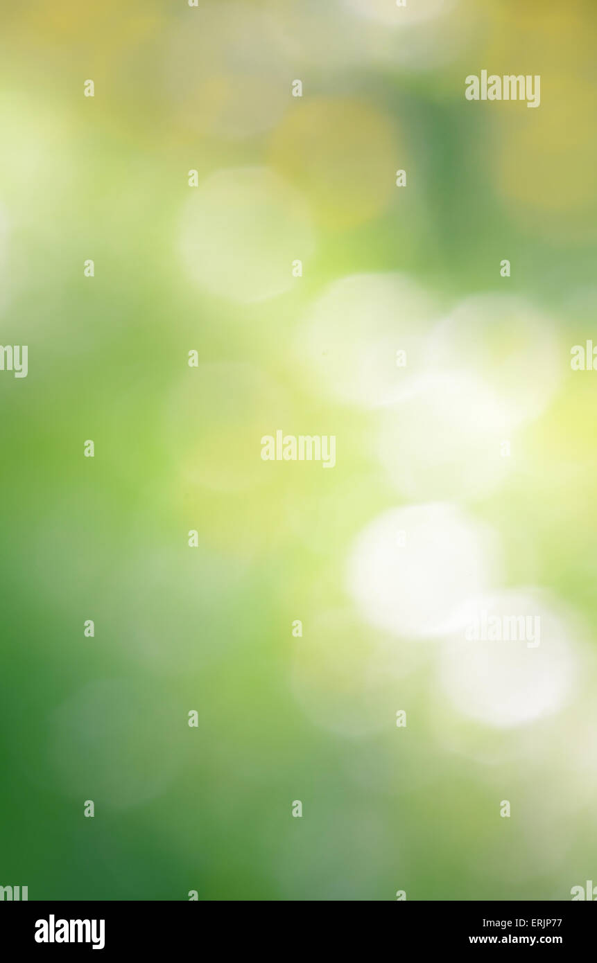 Nature defocus hi-res stock photography and images - Alamy