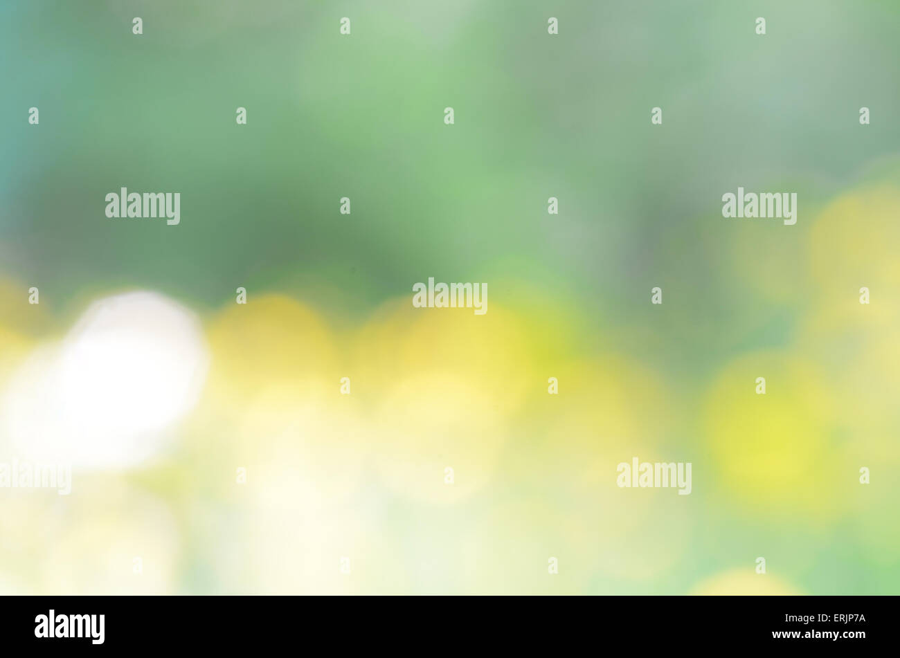 abstract green nature defocus background Stock Photo - Alamy