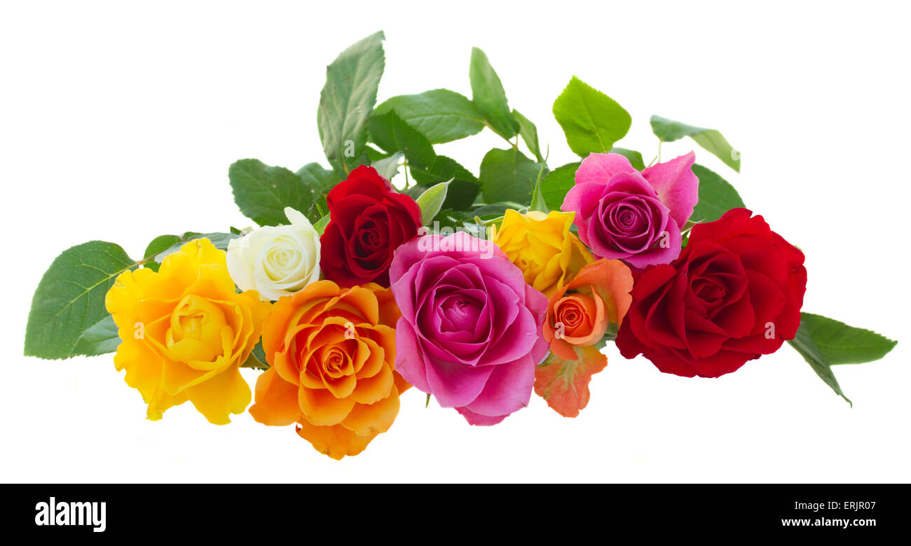 bouquet of fresh roses Stock Photo - Alamy