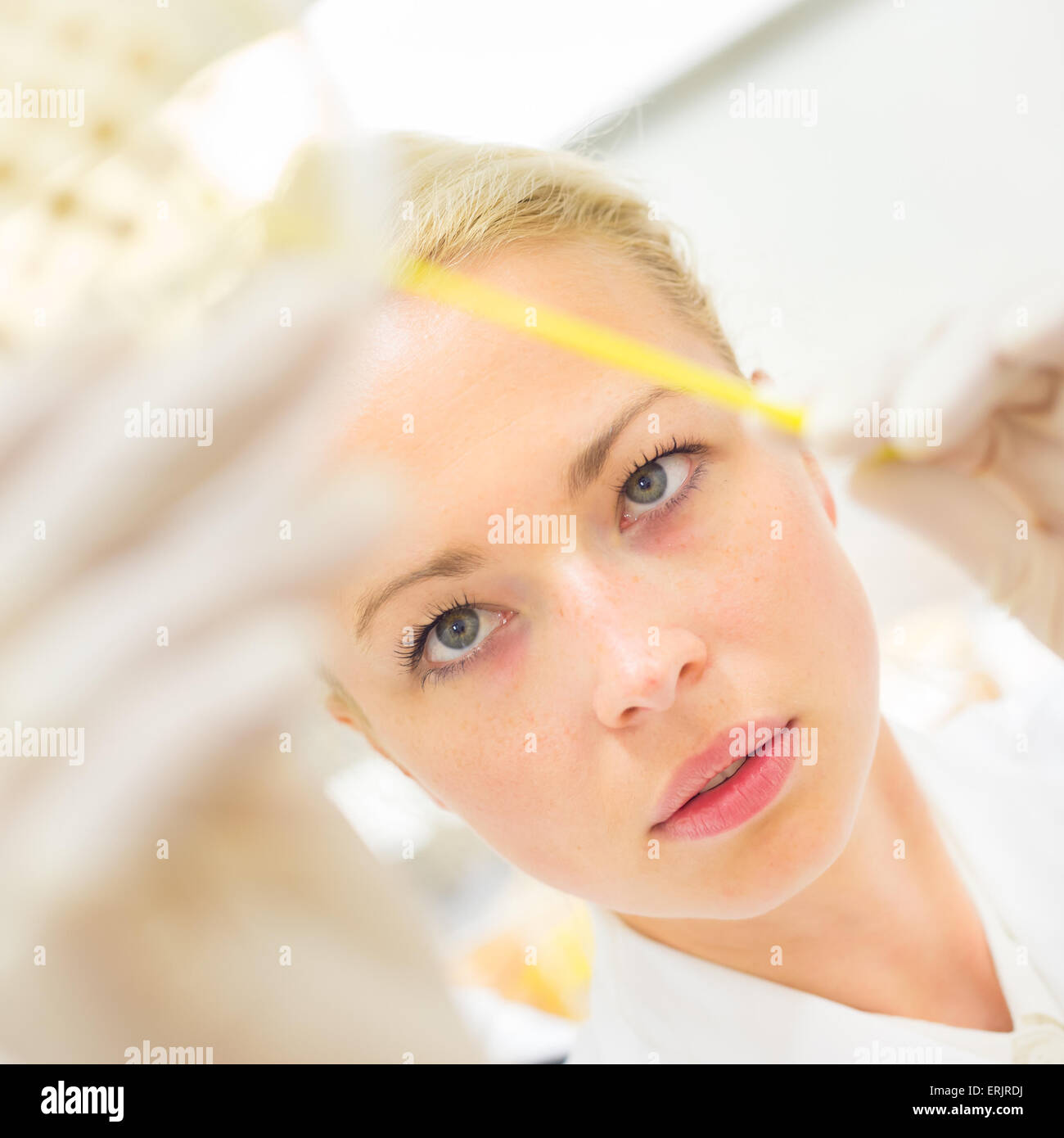 Scientist observing petri dish Stock Photo - Alamy