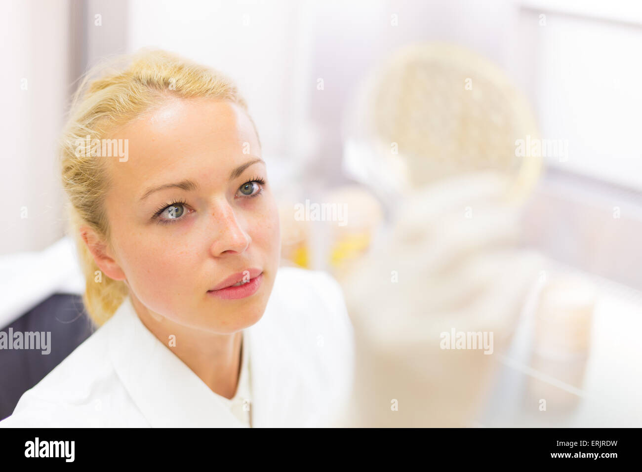 Scientist observing petri dish Stock Photo - Alamy