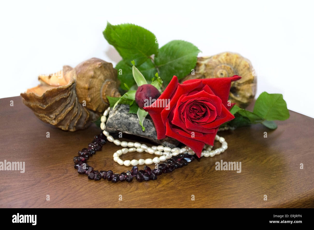 Red rose with shells and beads of garnet and pearls Stock Photo - Alamy