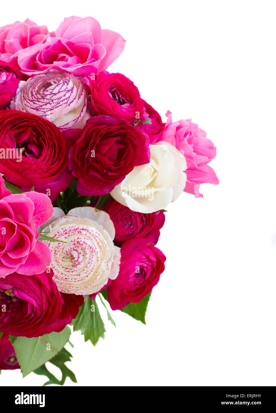 bunch of pink ranunculus flowers Stock Photo - Alamy