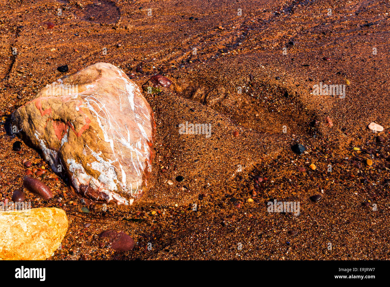 Pebbles on a Beach in Dawlish, South Devon, England, UK Stock Photo - Alamy
