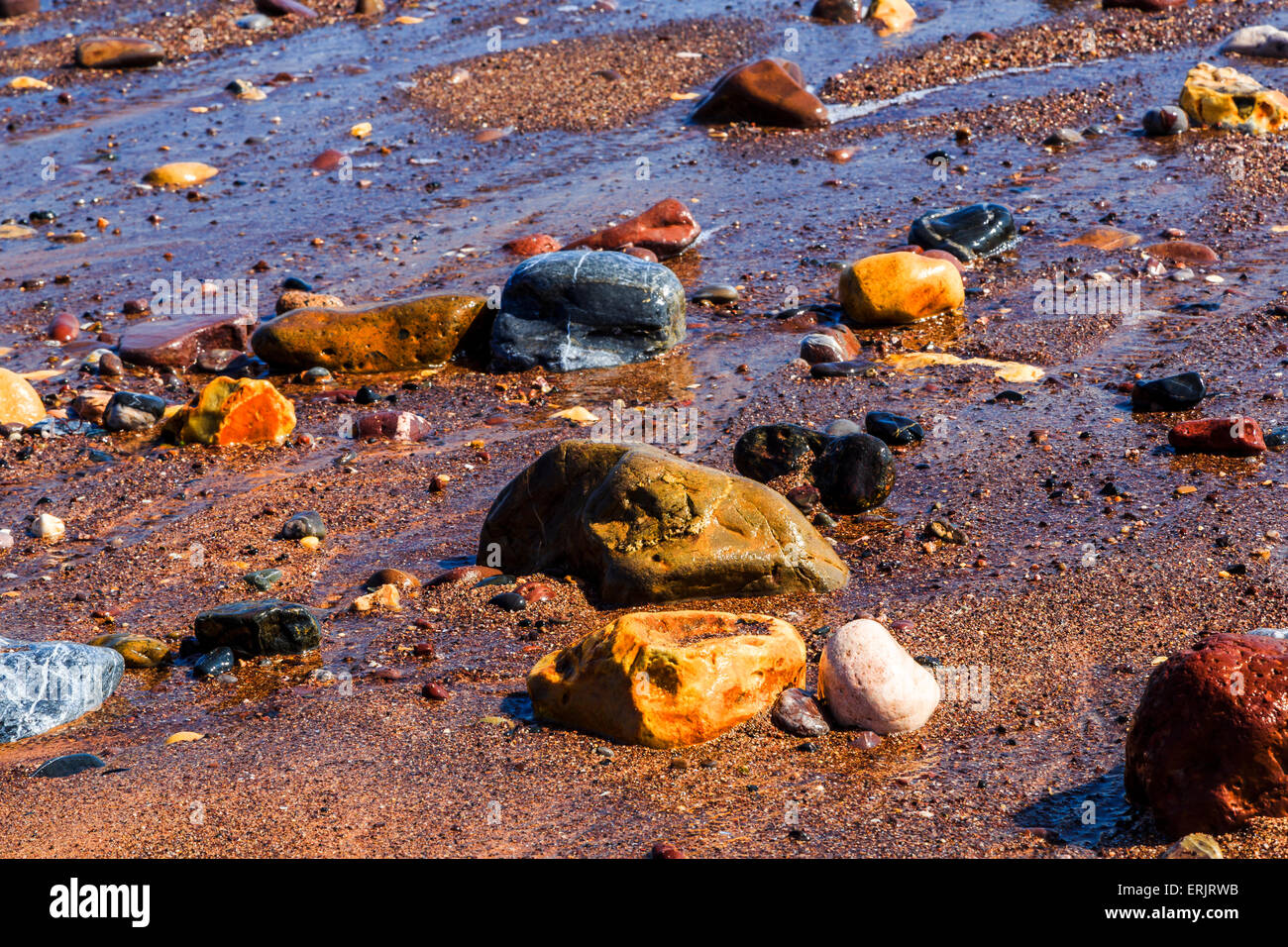 Pebbles on a Beach in Dawlish, South Devon, England, UK Stock Photo - Alamy