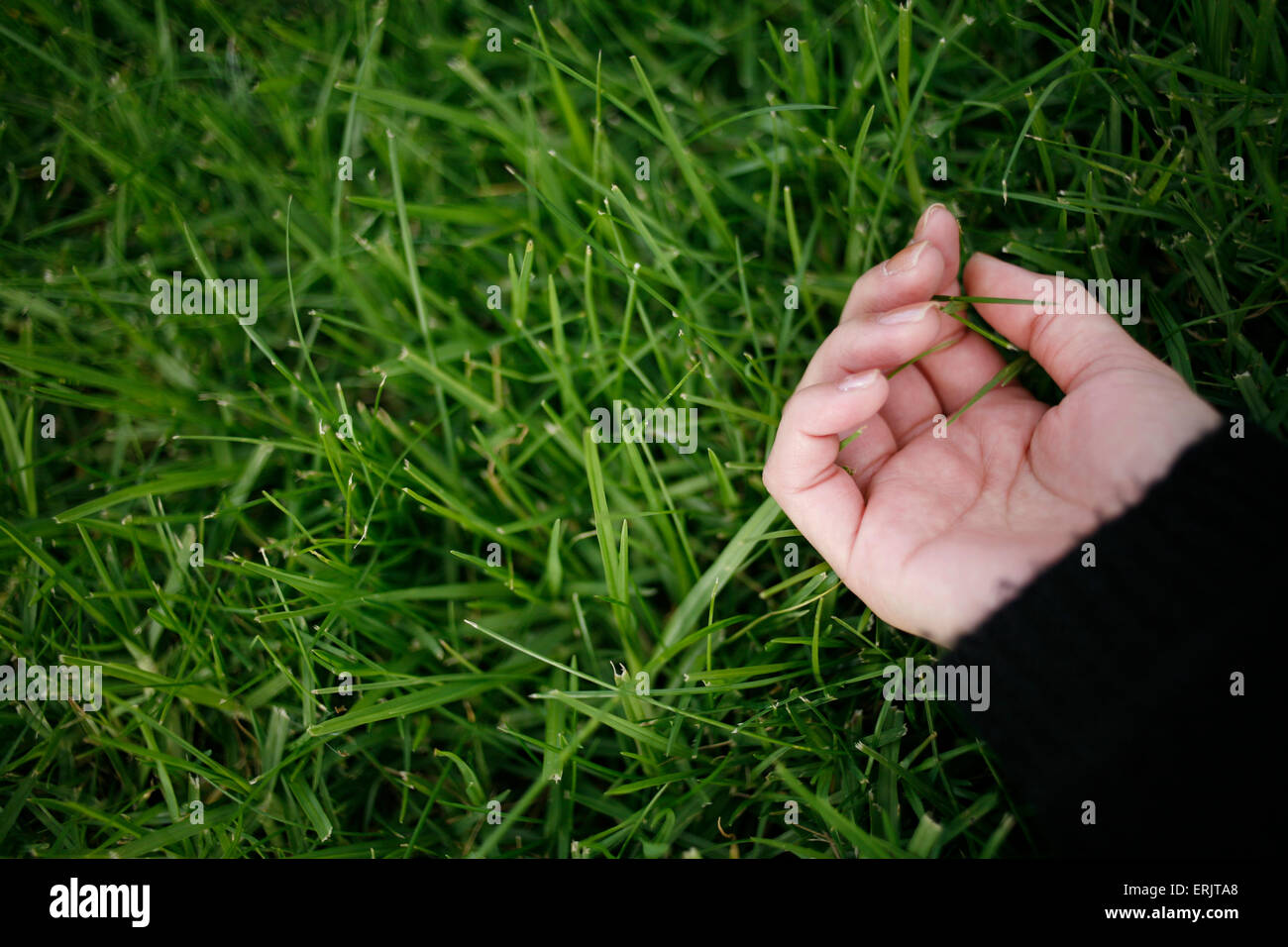 A lady's hand touches green grass Stock Photo - Alamy