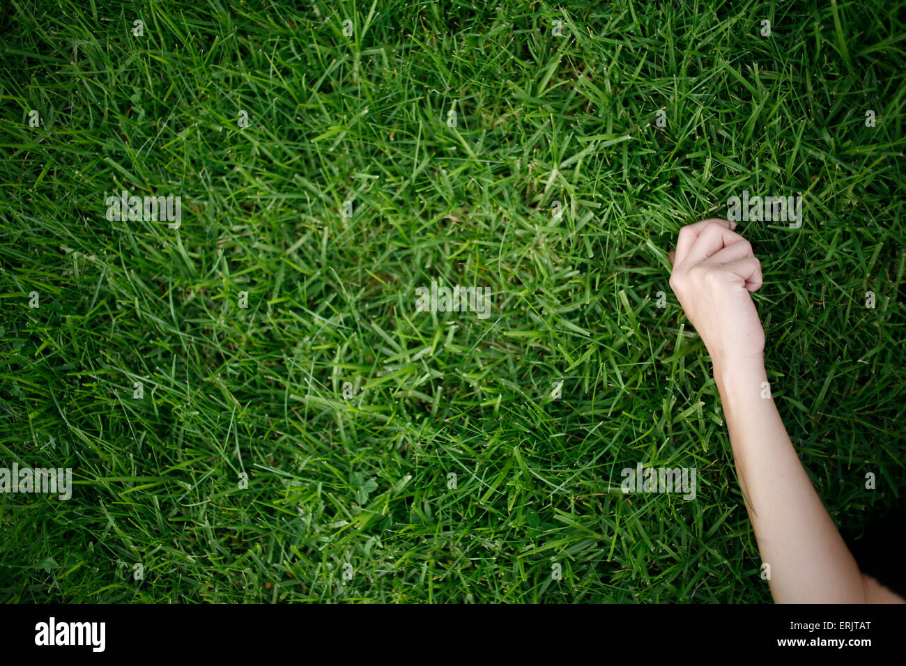 A lady's hand touches green grass Stock Photo - Alamy