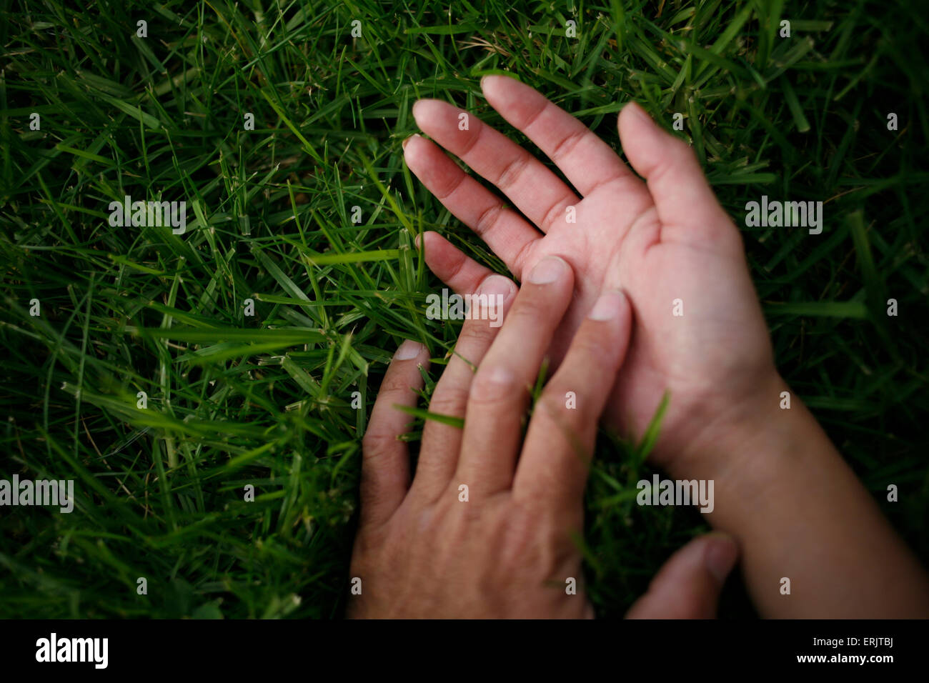 A lady's hand touches a male's hand Stock Photo - Alamy