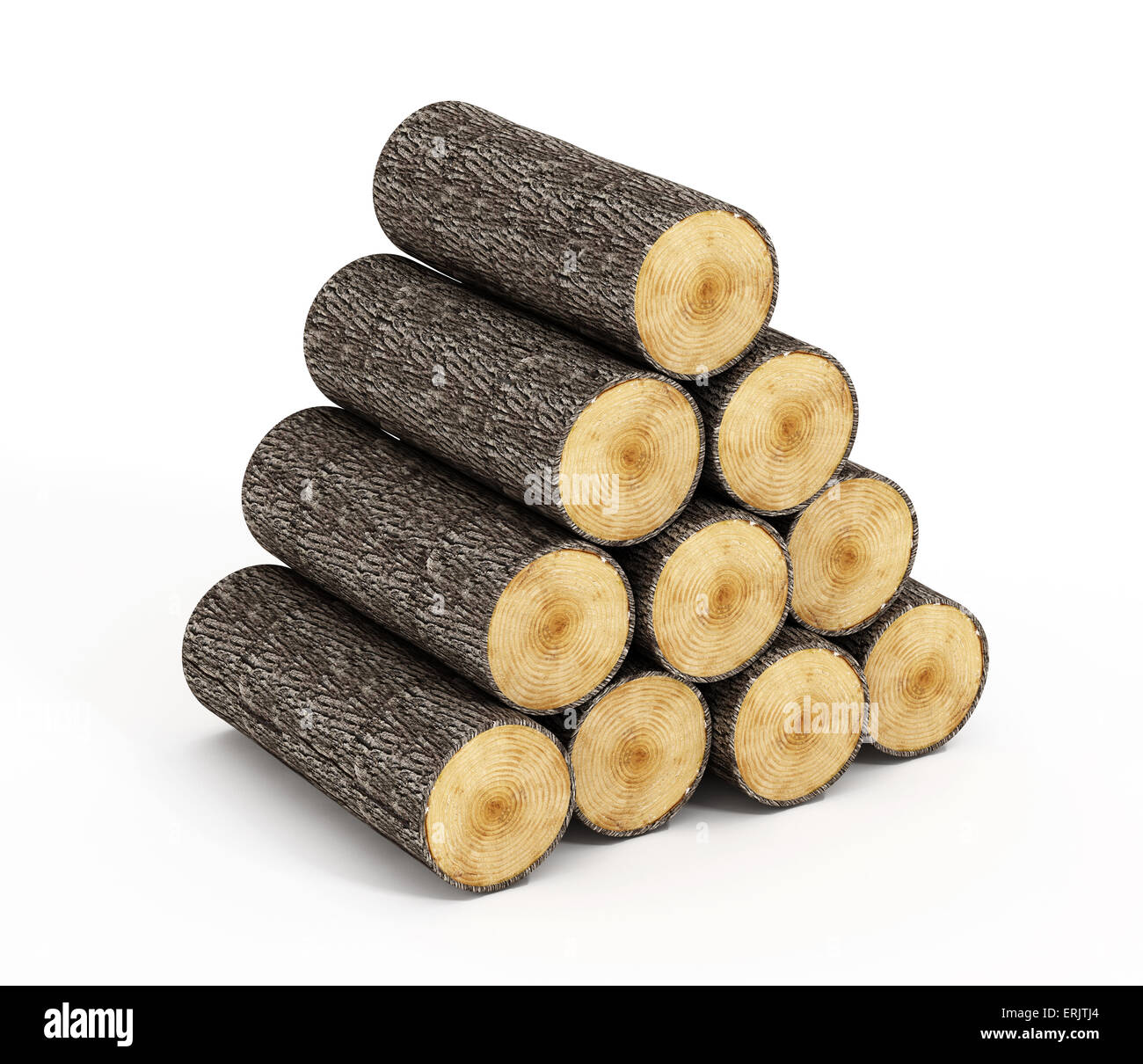 Logwood tree hi-res stock photography and images - Alamy