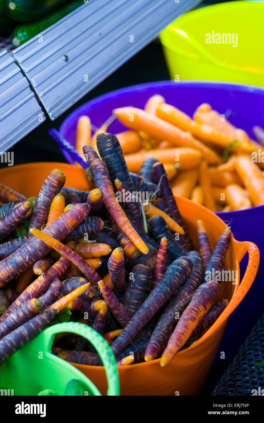 Blue Carrots, Lincoln Gardens, Lumsden, Saskatchewan Stock Photo - Alamy
