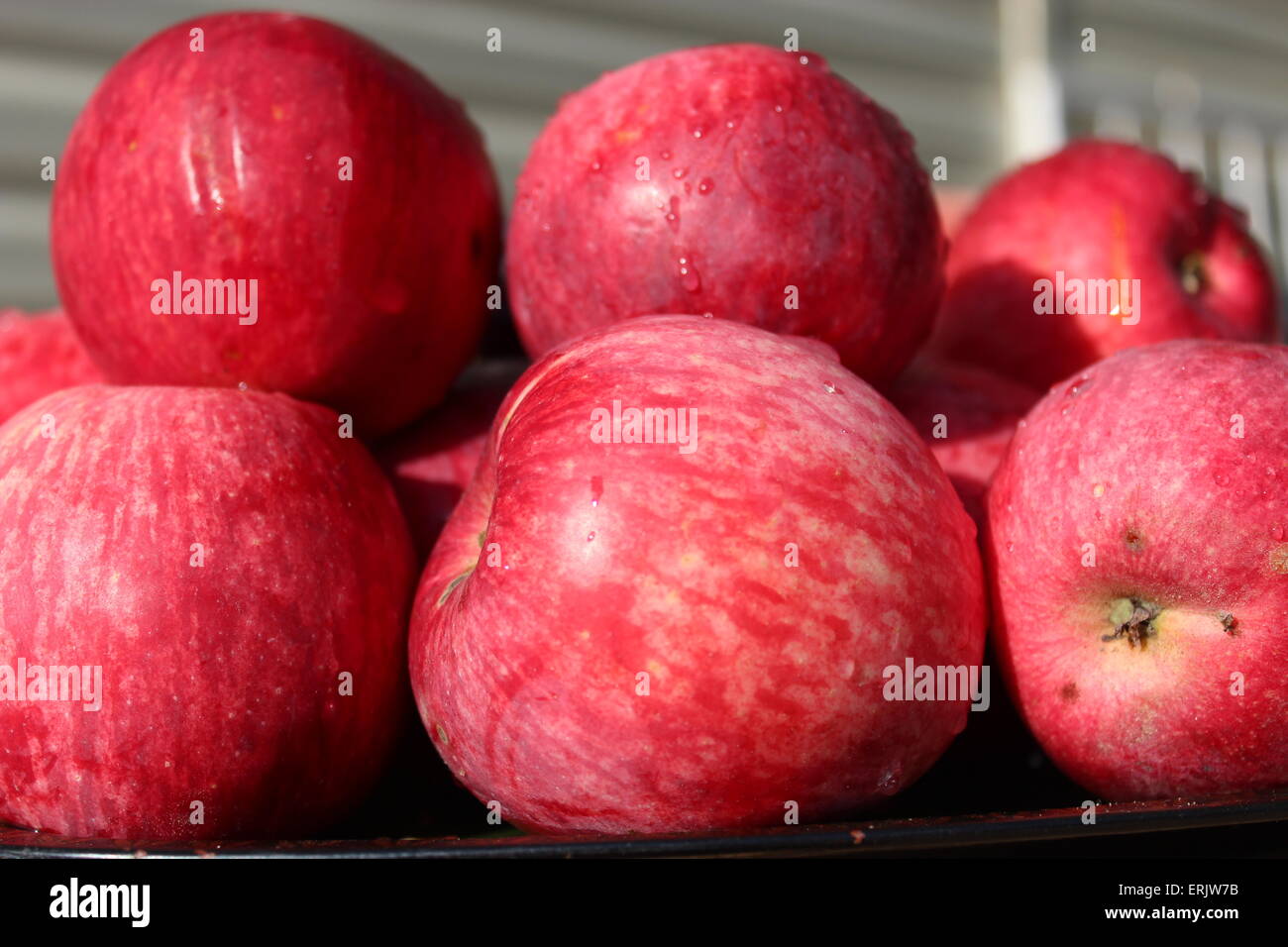 Big apples hi-res stock photography and images - Alamy