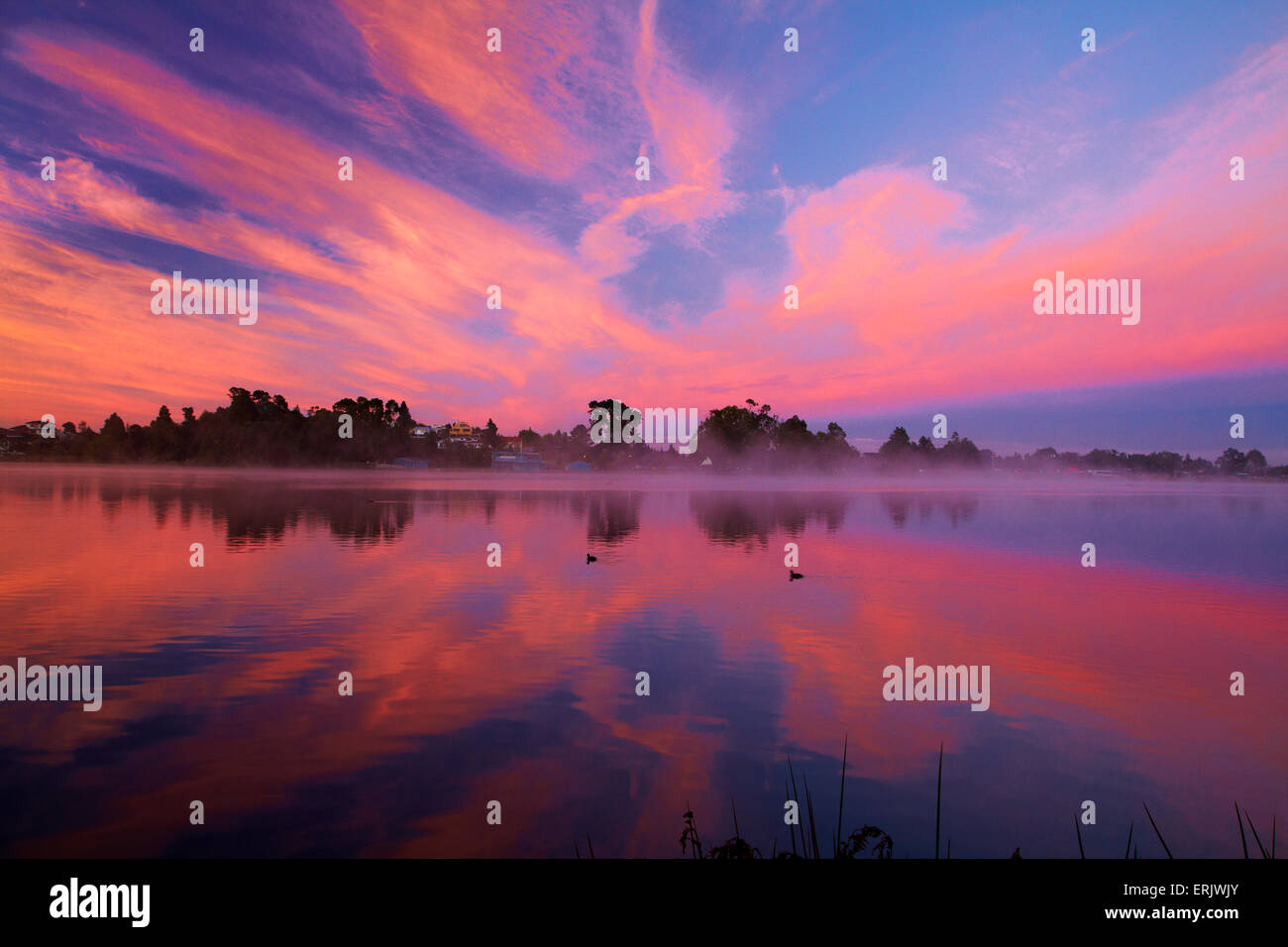 Sunrise over Lake Rotoroa, Hamilton, Waikato, North Island, New Zealand ...