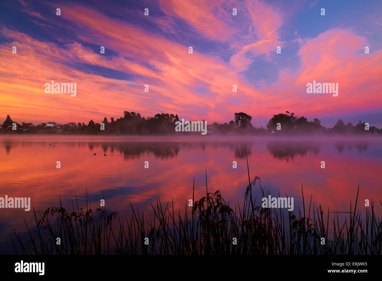 Sunrise over Lake Rotoroa, Hamilton, Waikato, North Island, New Zealand ...