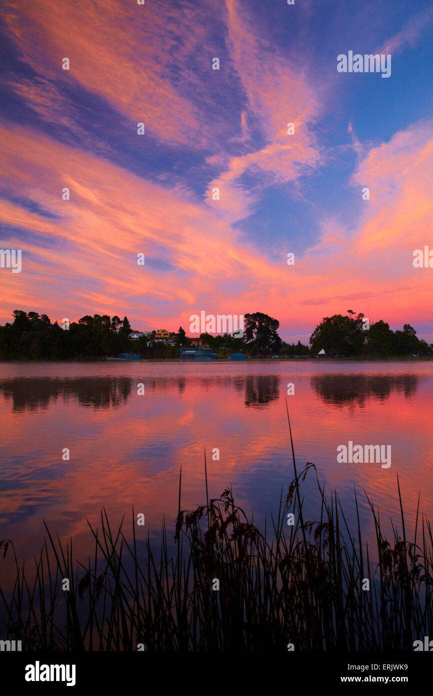 Sunrise over Lake Rotoroa, Hamilton, Waikato, North Island, New Zealand ...