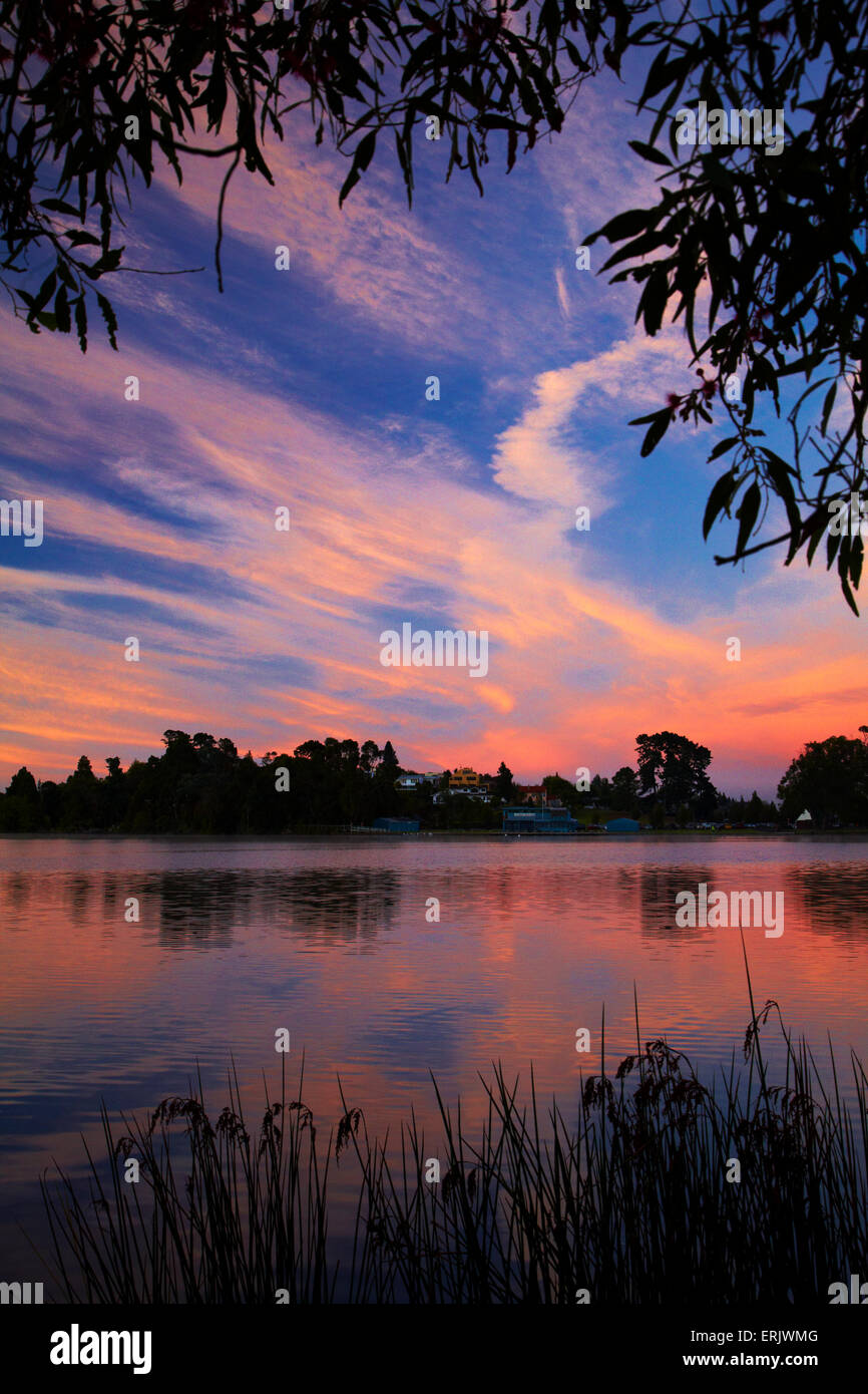 Sunrise over Lake Rotoroa, Hamilton, Waikato, North Island, New Zealand ...