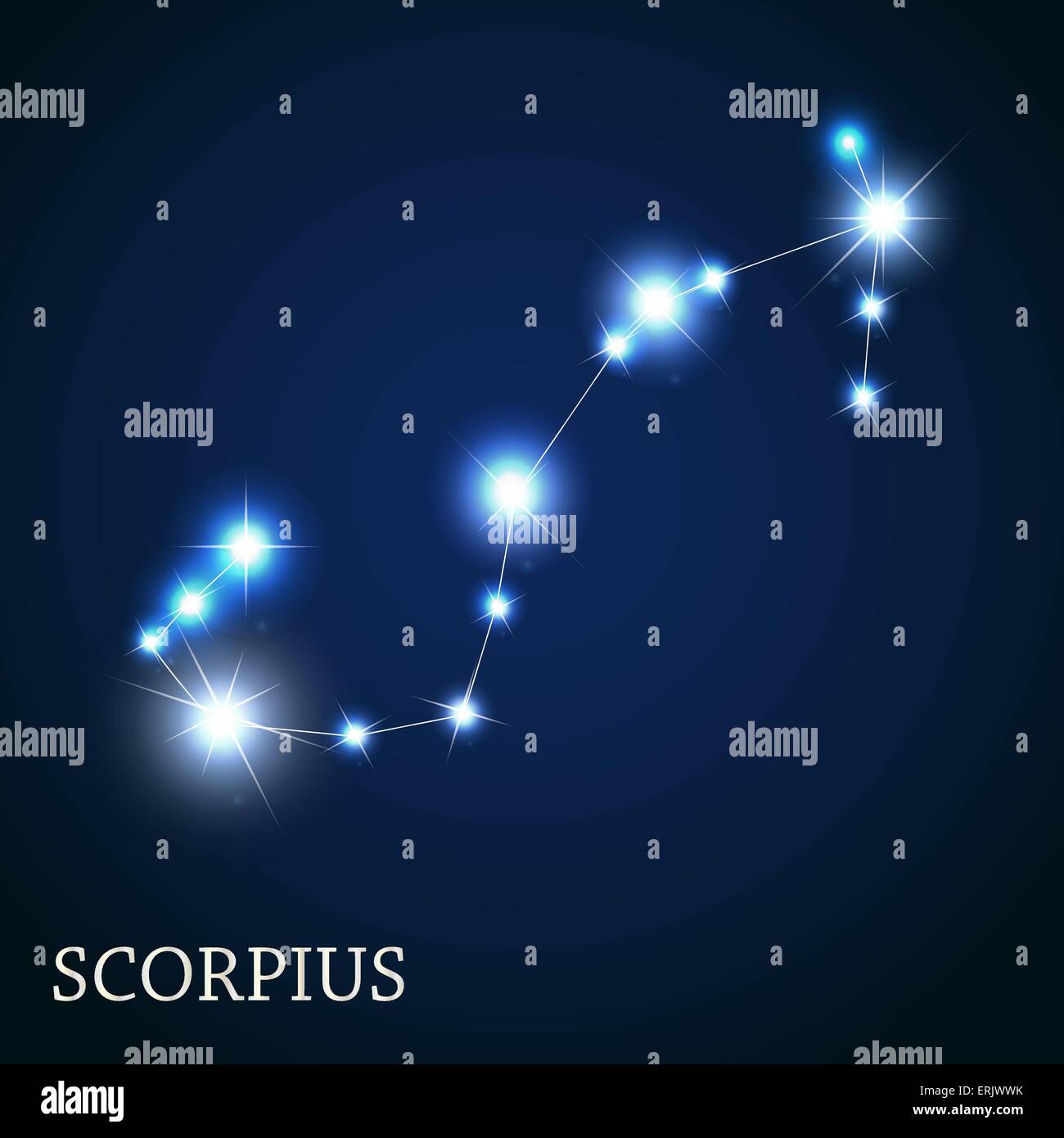Scorpius Zodiac Sign of the Beautiful Bright Stars Vector Illust Stock ...