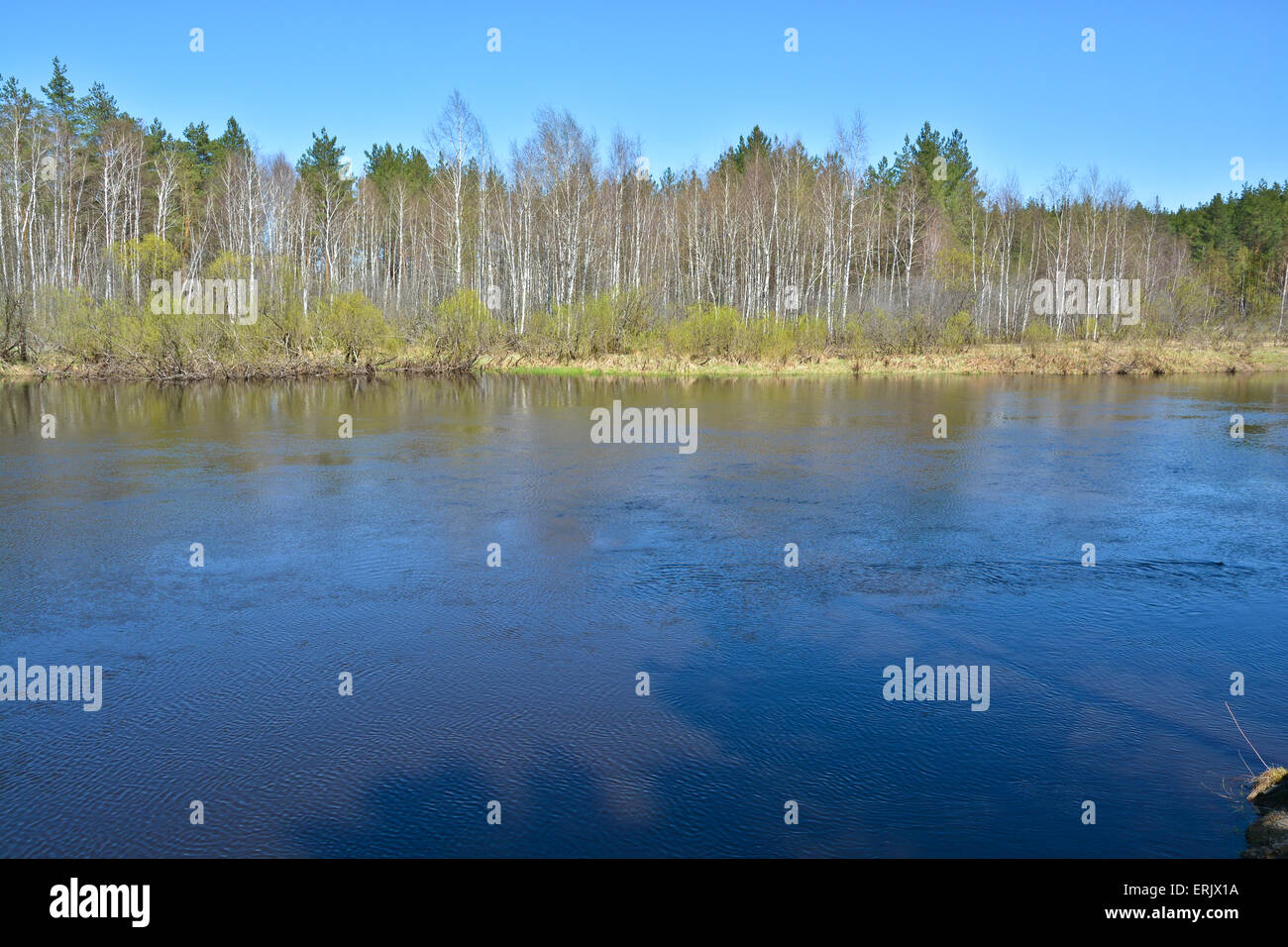 River spring landscape. Russian spring. The river is in a national Park ...