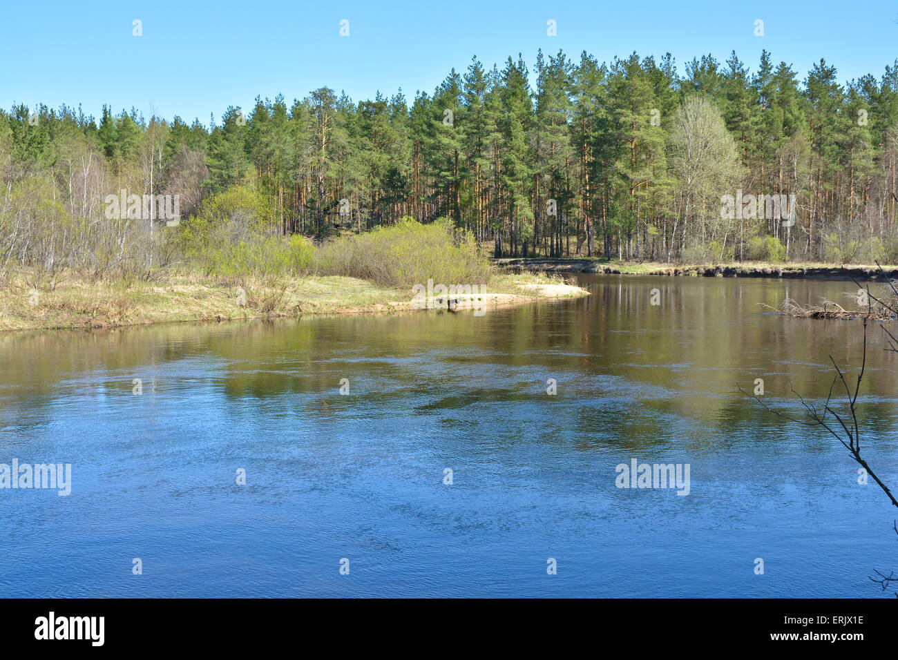 River spring landscape. Russian spring. The river is in a national Park ...