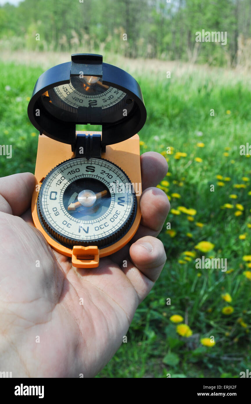 Spring walk through the green forest. Compass in hand, against the ...