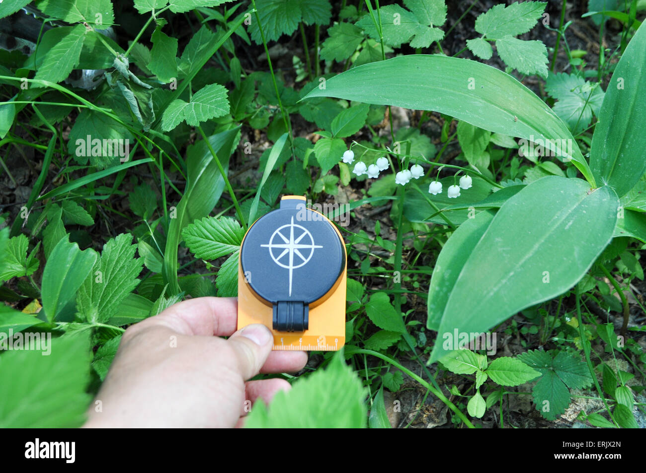 Orienteering map hand hi-res stock photography and images - Alamy