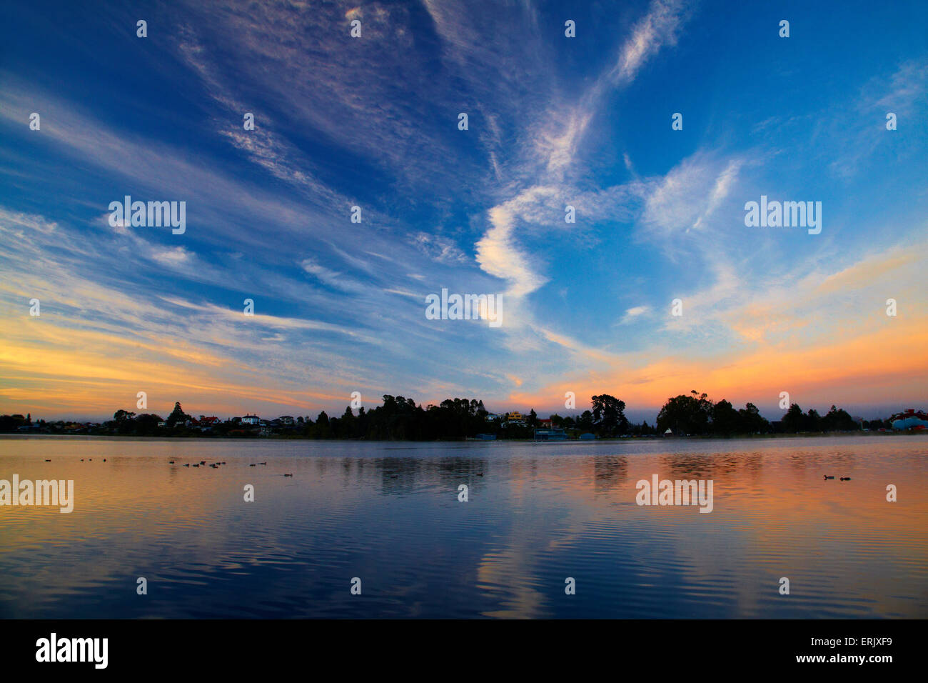 Hamilton Lake Domain, New Zealand High Resolution Stock Photography and ...