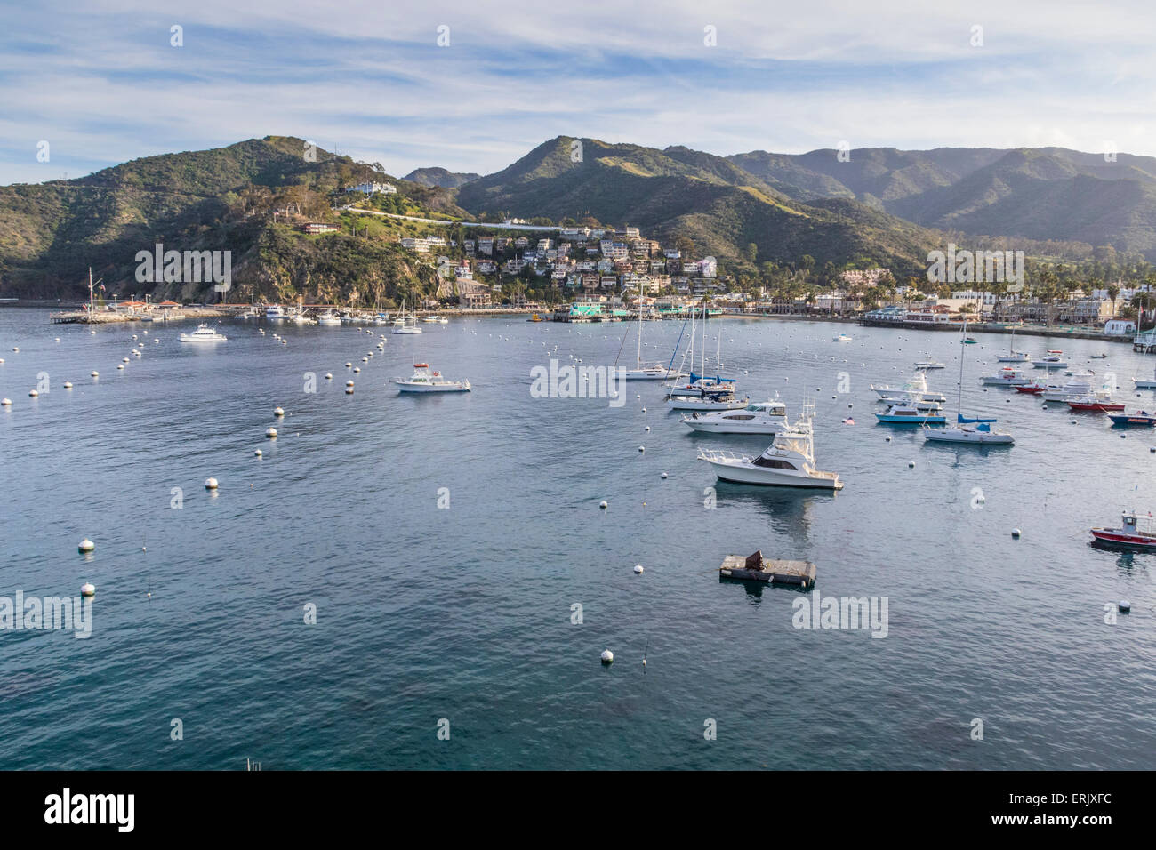 Avalon Harbor on Catalina Island in evening light Stock Photo - Alamy