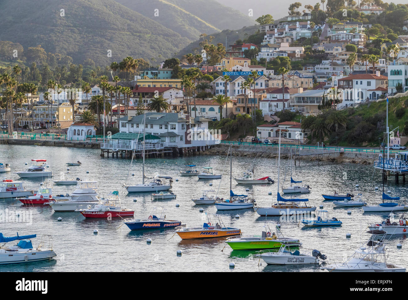 Boats in catalina catalina island hi-res stock photography and images - Alamy