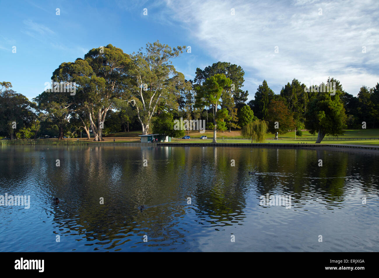 Lake Rotoroa, and Lake Domain Reserve, Hamilton, Waikato, North Island ...