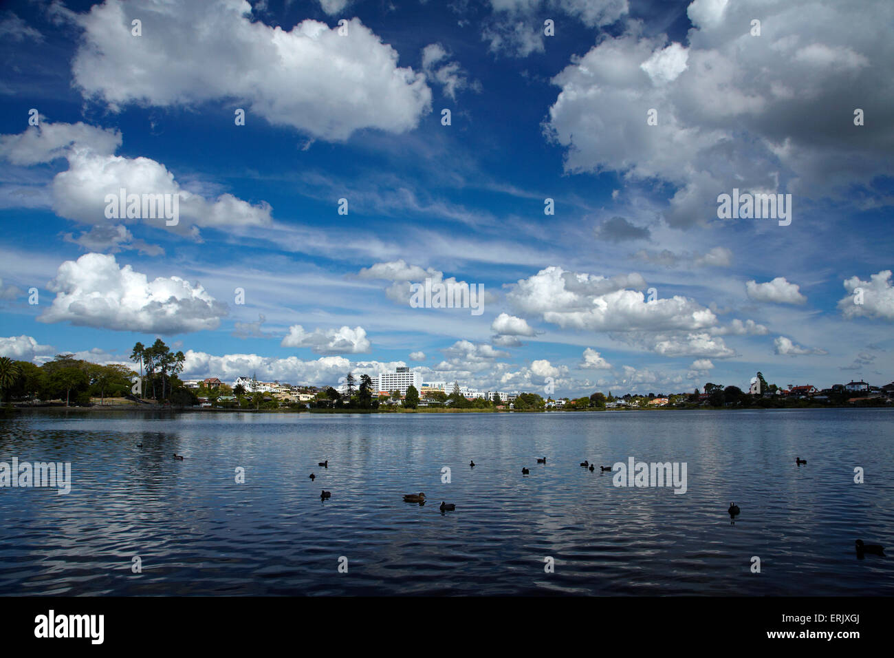 Lake Rotoroa and Waikato Hospital, Hamilton, Waikato, North Island, New ...