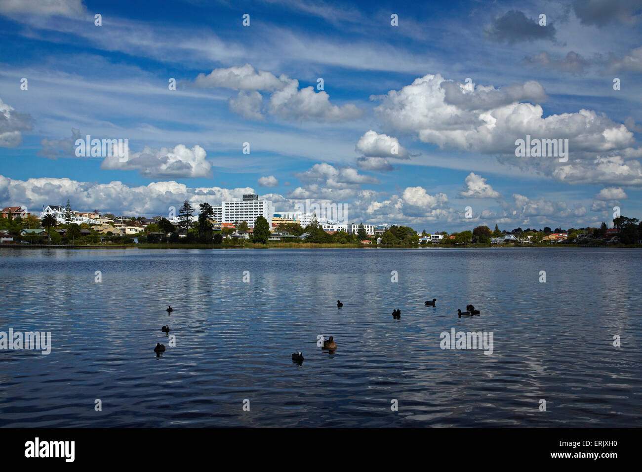 Lake Rotoroa and Waikato Hospital, Hamilton, Waikato, North Island, New ...