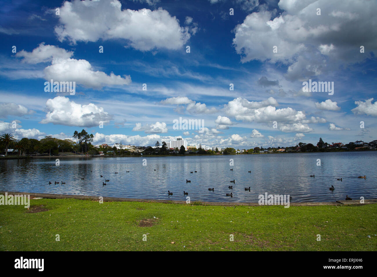 Lake Rotoroa and Waikato Hospital, Hamilton, Waikato, North Island, New ...