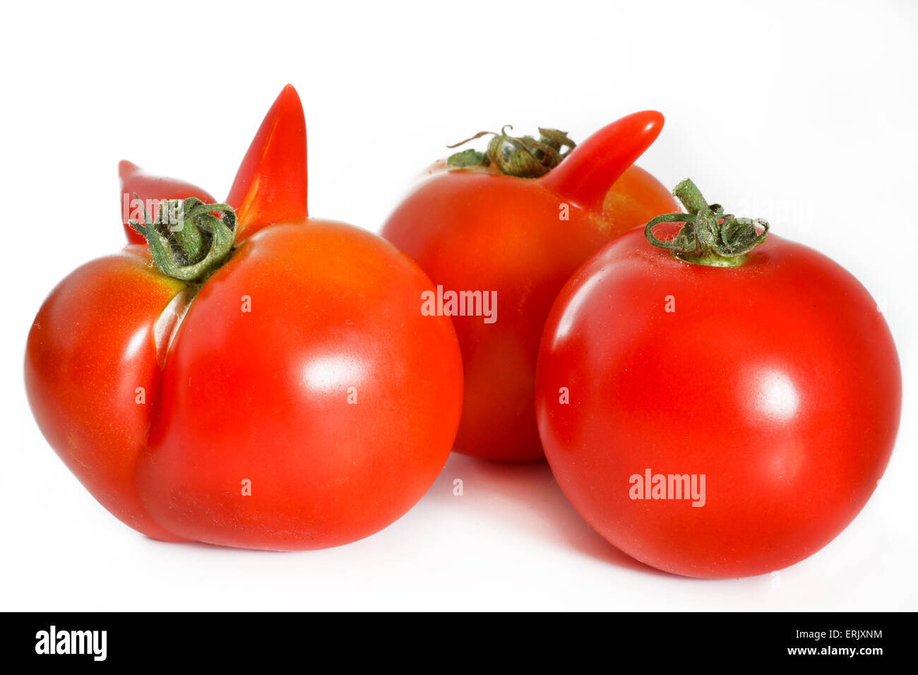 Three tomatoes isolated on white Stock Photo - Alamy