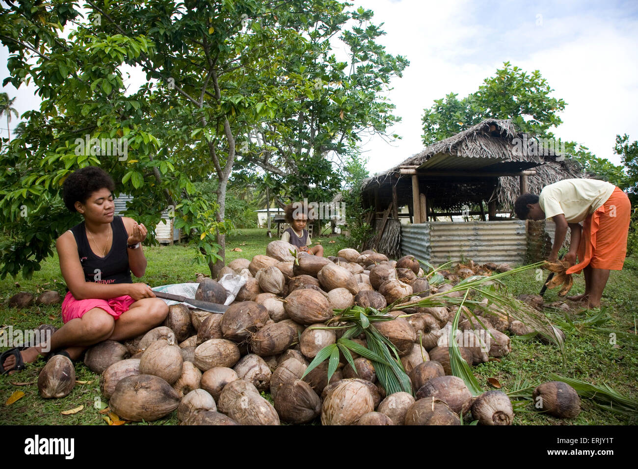A group of women sit amongst a pile of coconuts while one tirelessly ...