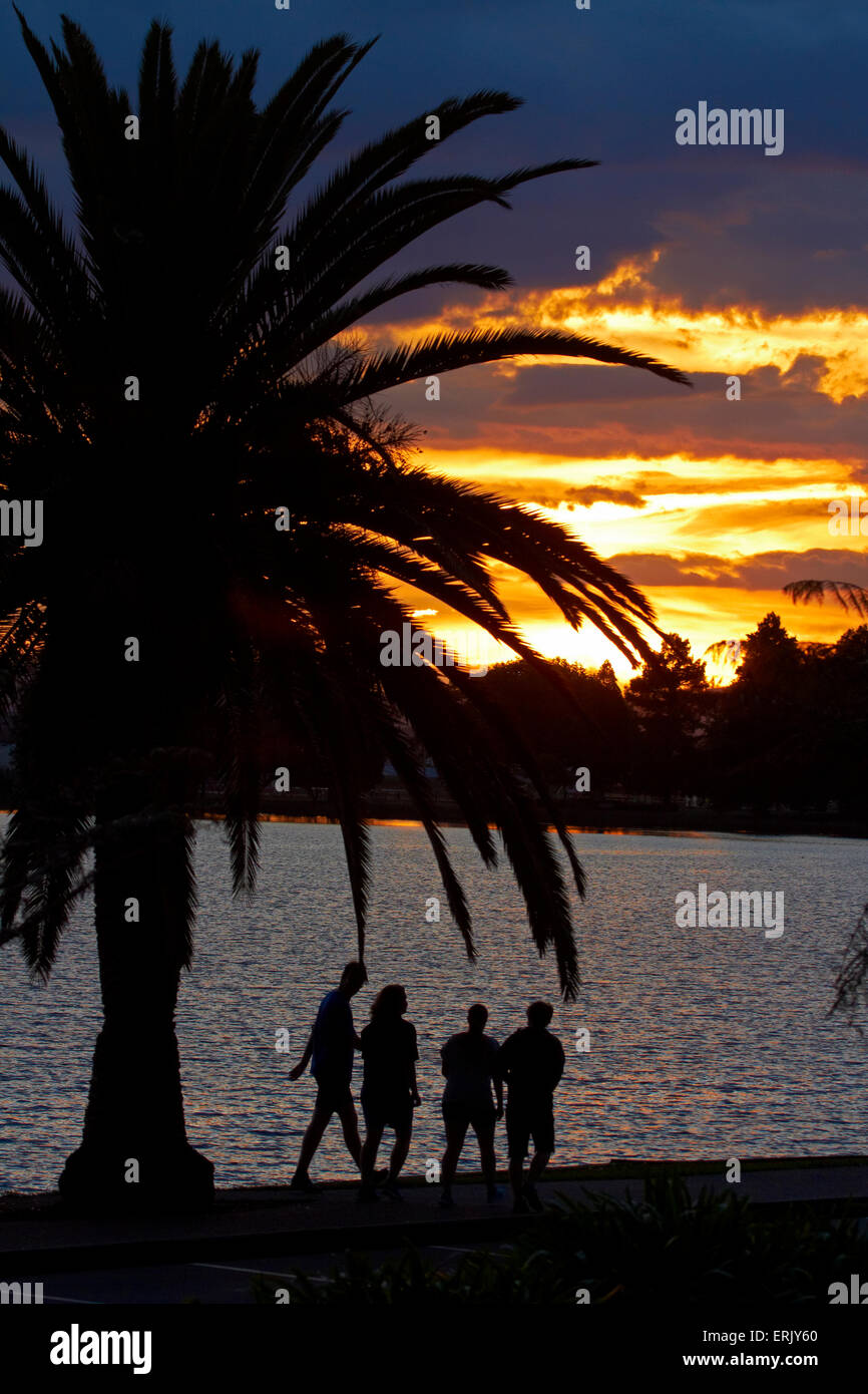 Hamilton Lake Domain, New Zealand High Resolution Stock Photography and ...
