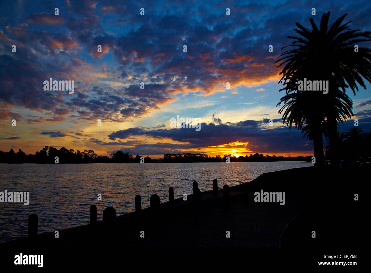 Hamilton lake domain, new zealand hi-res stock photography and images ...