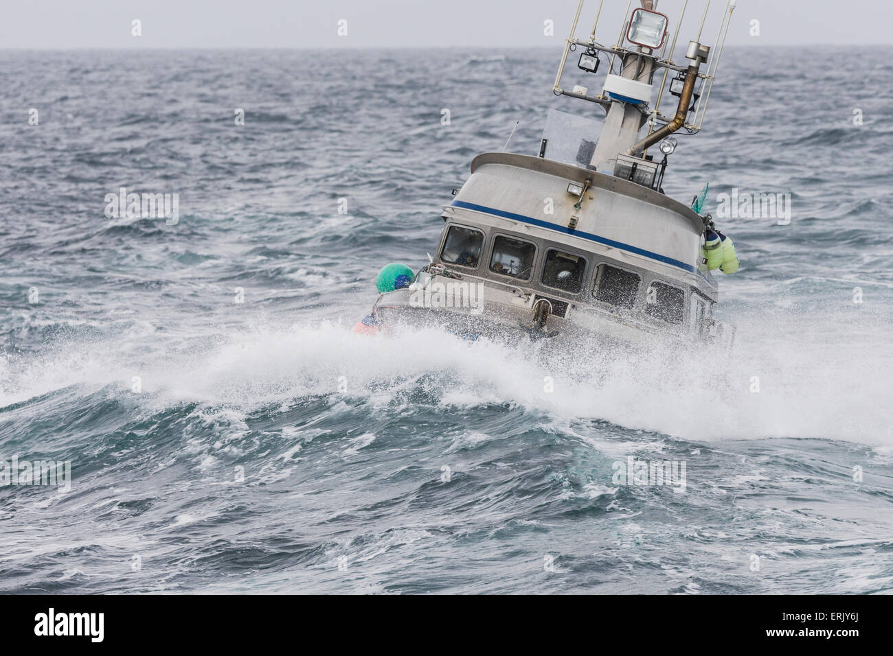 The F/V Glacier Bay, a bristol bay gilnetter, pounds through rough seas ...