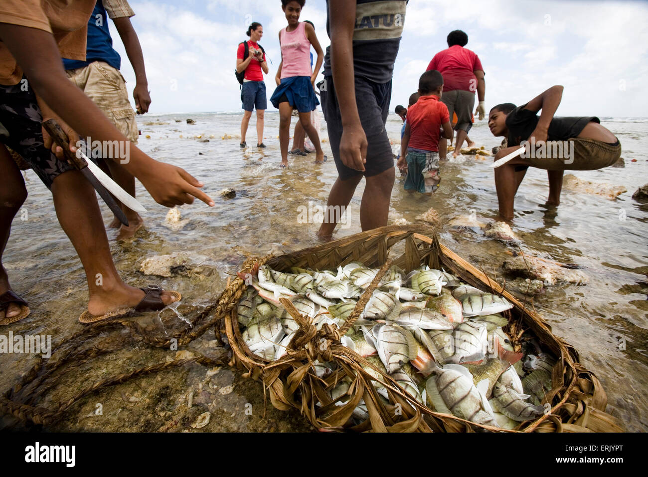A basket holds the harvest of a large fish harvest during low tide ...