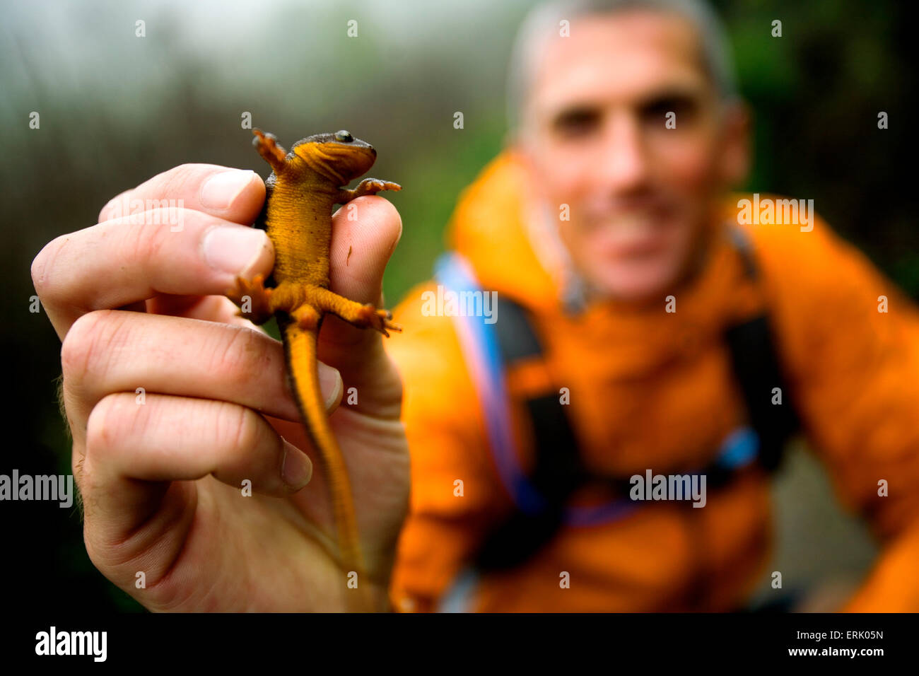 Man holding a salamander after trail running Stock Photo - Alamy