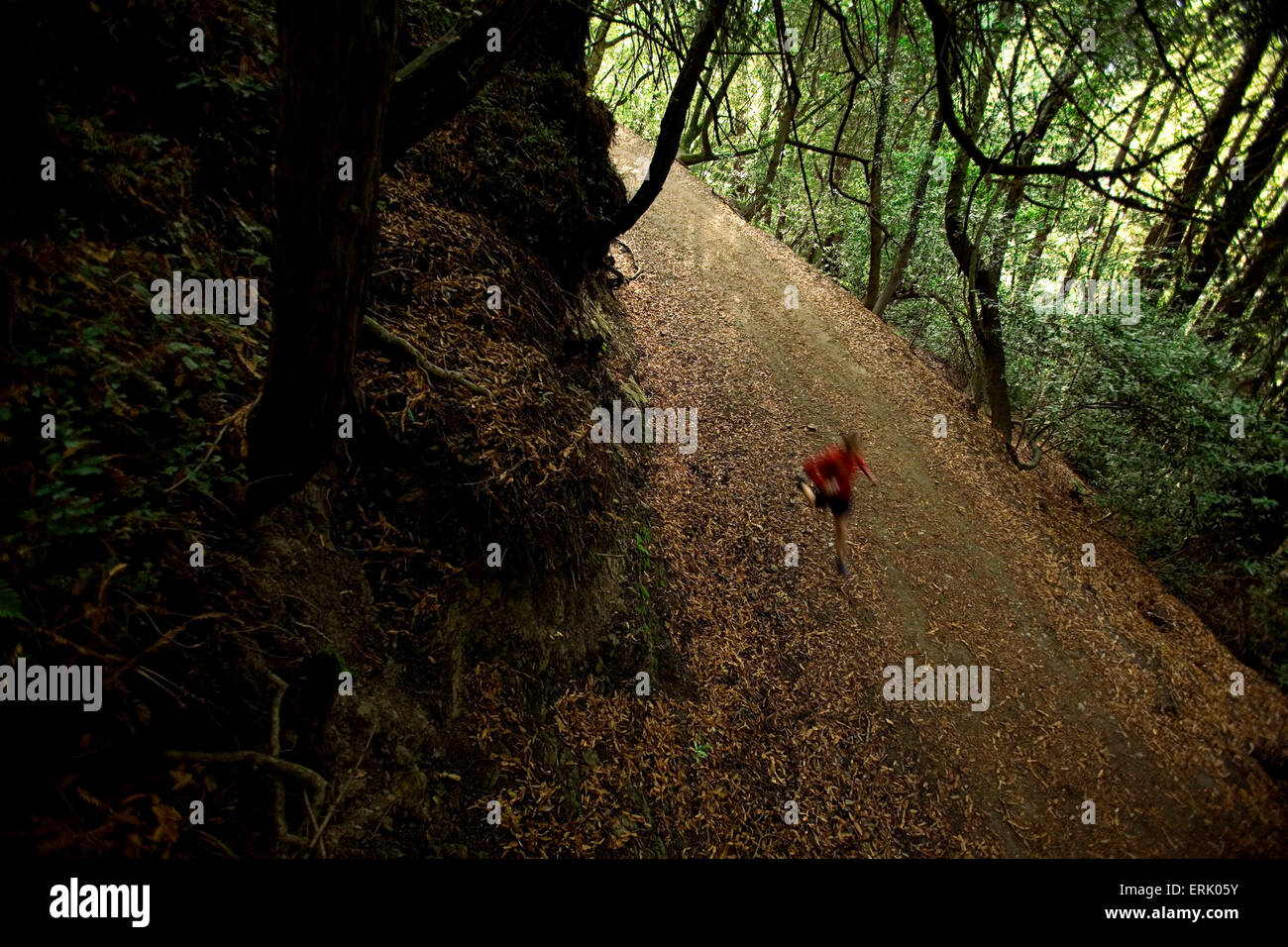 Man trail running in the woods Stock Photo - Alamy